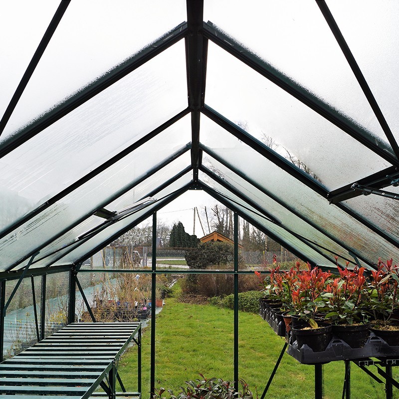 Gewächshaus Opale 5,80 m² aus grün lackiertem Aluminium und gehärtetem Glas mit Basis